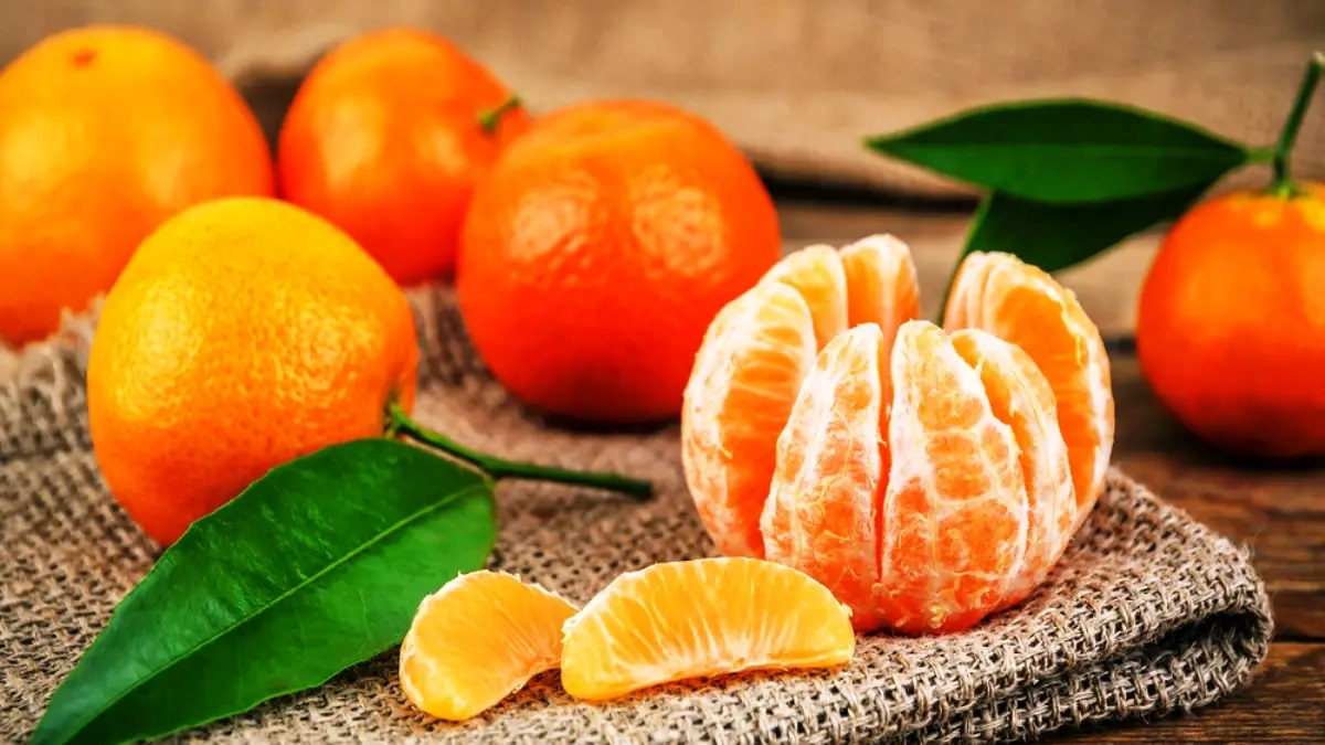 Mandalina En Uygun Fiyatlarla