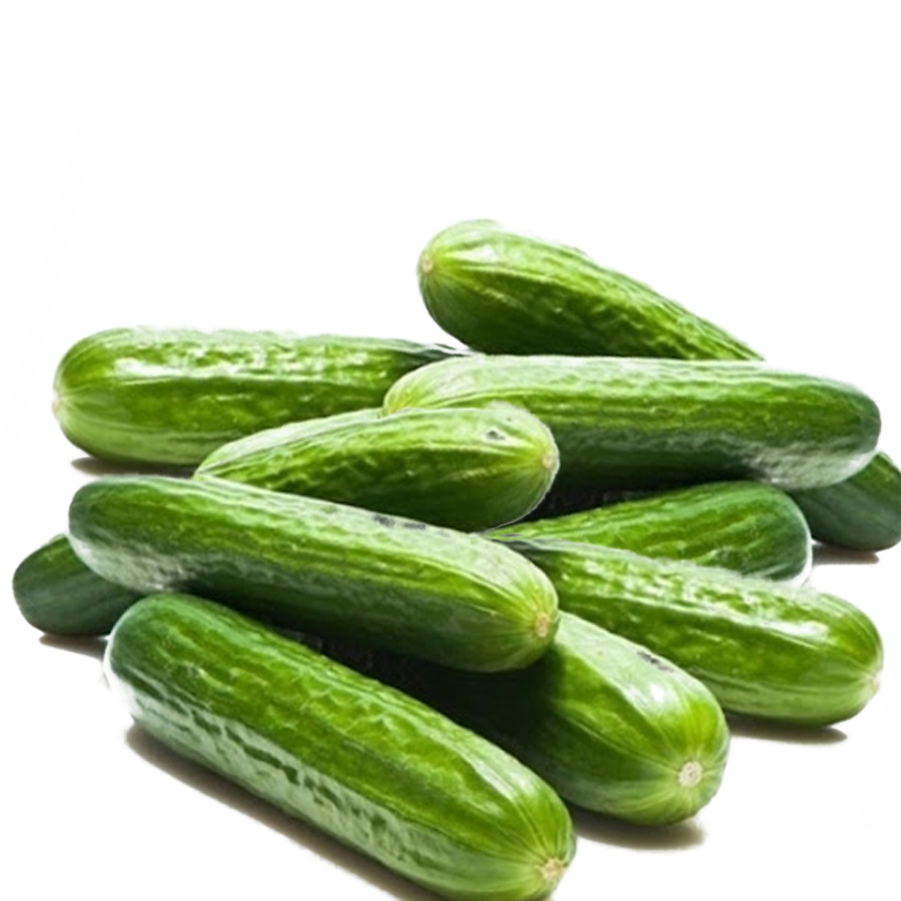 Salatalık 1 Kg En Uygun Fiyatlarla